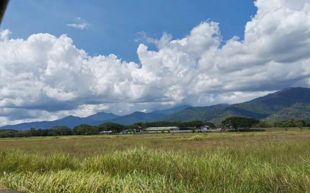 A Closer Look at Iwahig Prison and Penal Farm: Reform, Rehabilitation ...